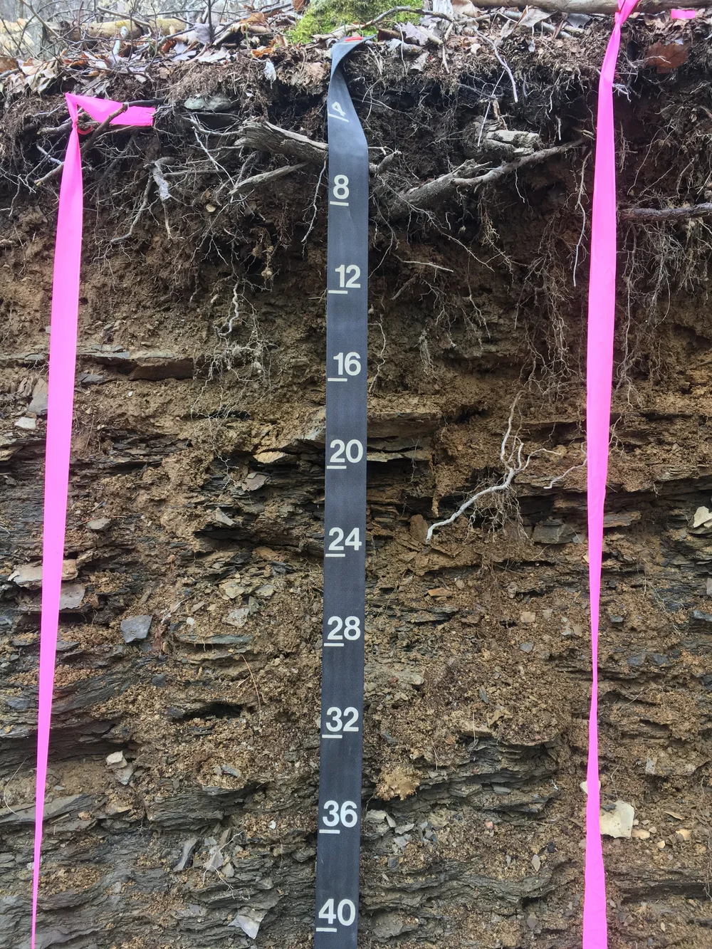 Soils Information — Otsego County Soil and Water Conservation District