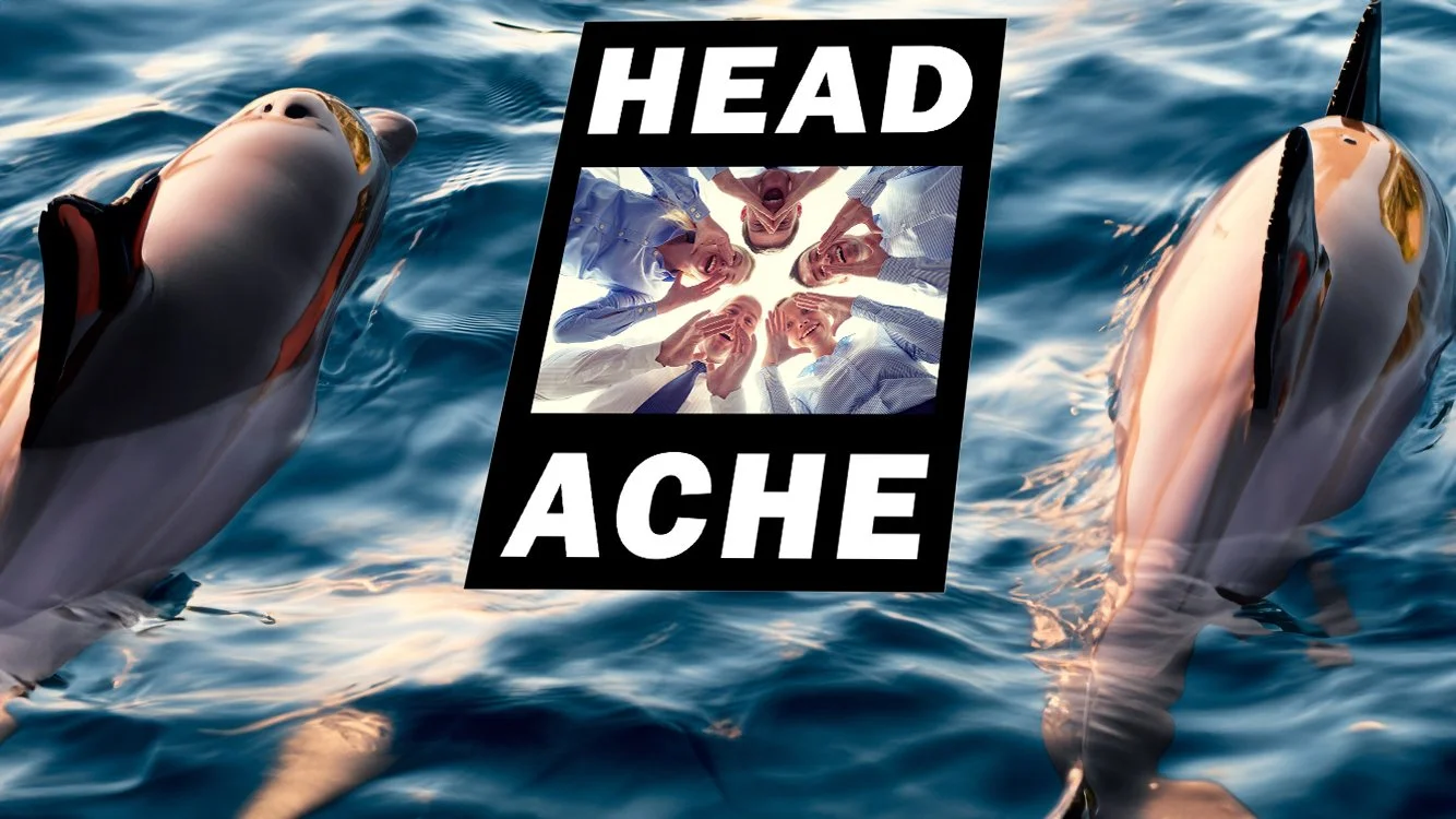 Headache - The Head Hurts but the Heart Knows the Truth — We Hate Music