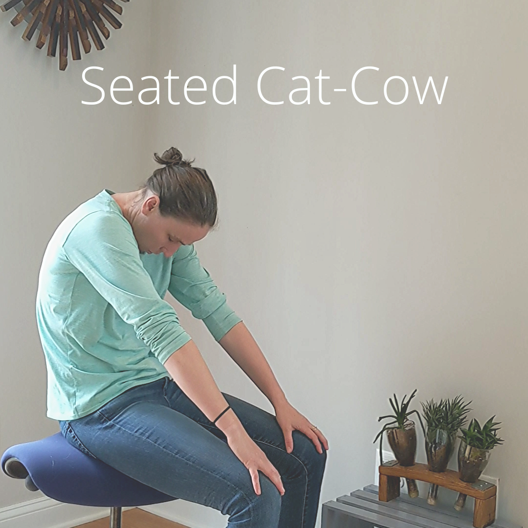 Self Care Stretches | Dr. Caitlin Redding