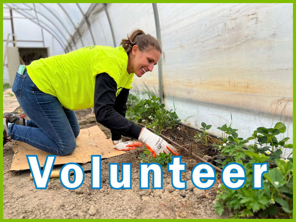 Boys & Girls Clubs of Greater Flint