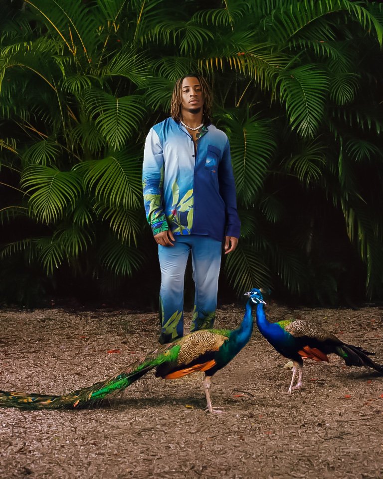 Men Peacock Costume