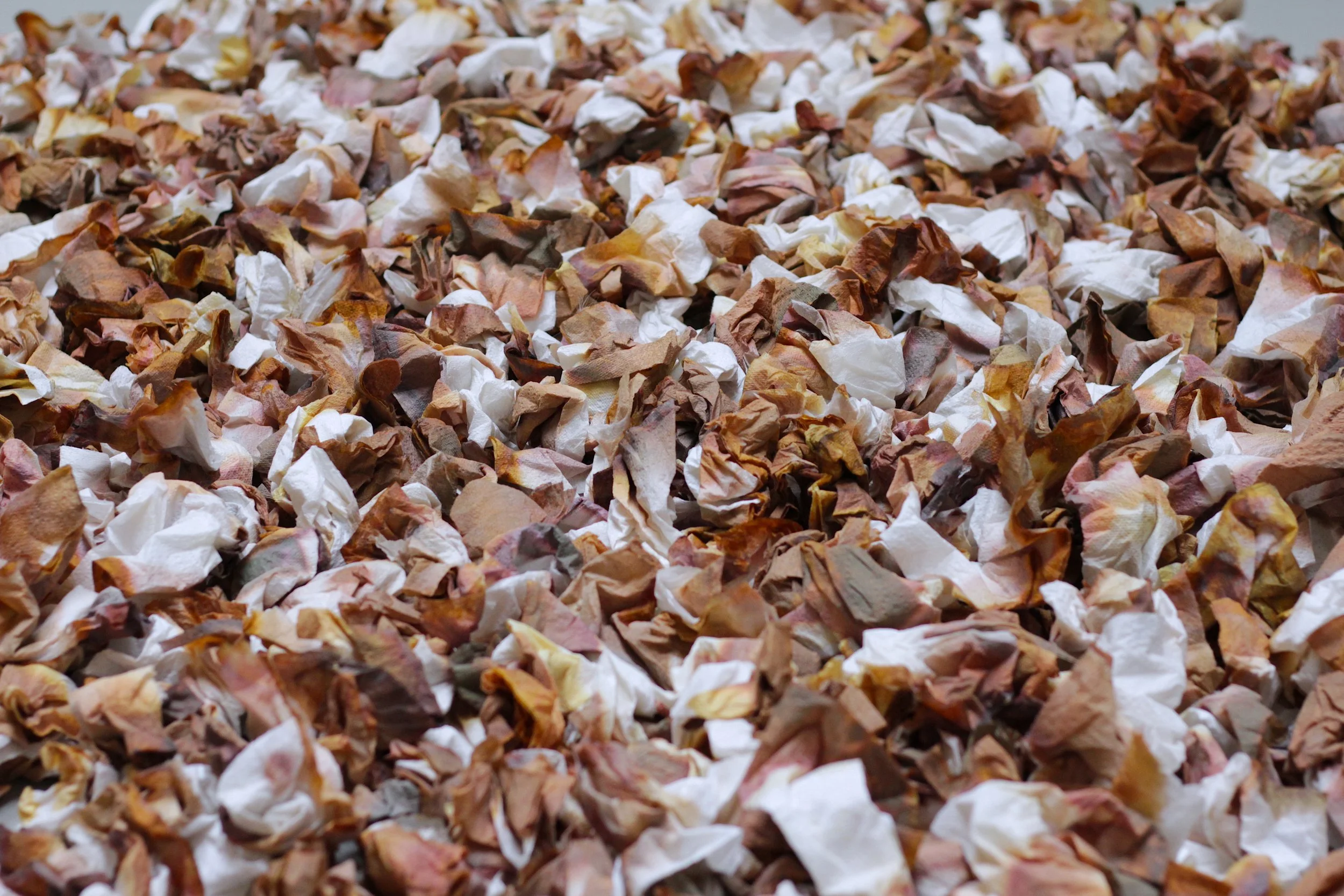 Noah Spivak — Airspace