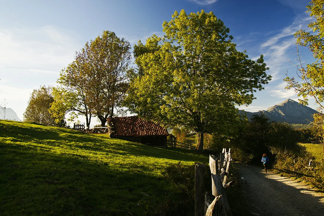 10 cosas que ver y hacer en el Parque Natural de Ponga (Asturias ...