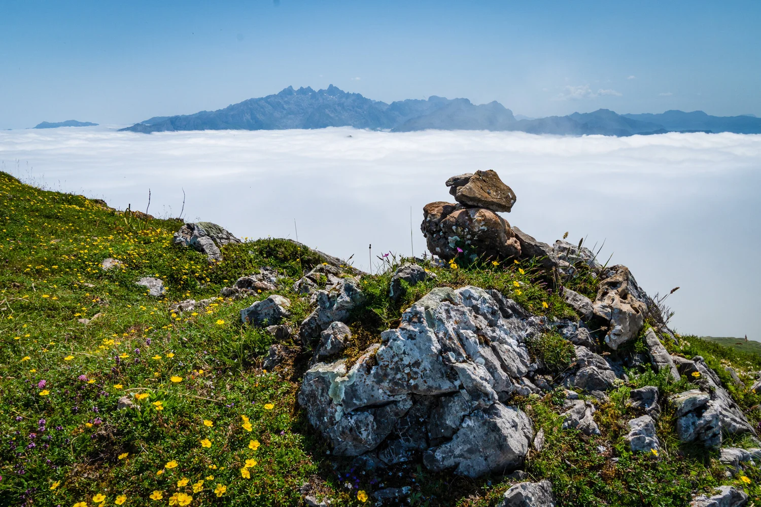 10 cosas que ver y hacer en el Parque Natural de Ponga (Asturias ...