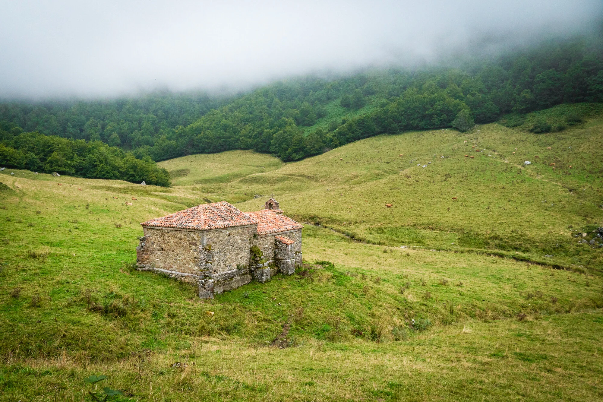 10 cosas que ver y hacer en el Parque Natural de Ponga (Asturias ...