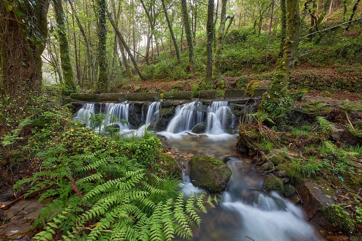 Parques Naturales en Galicia | Sitios de España
