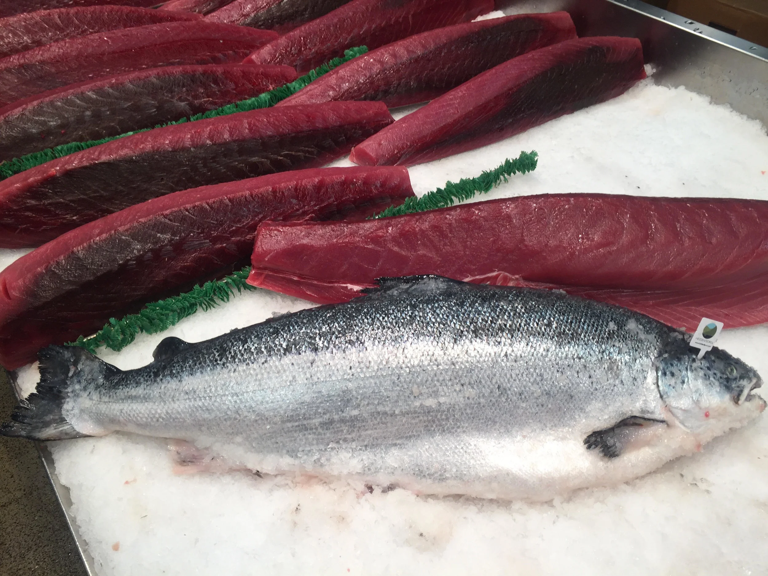 Products — Blue Ribbon Fish