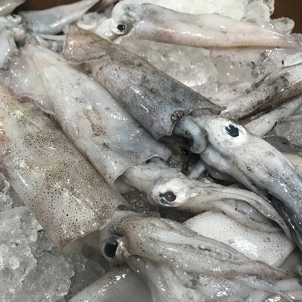 Products — Blue Ribbon Fish