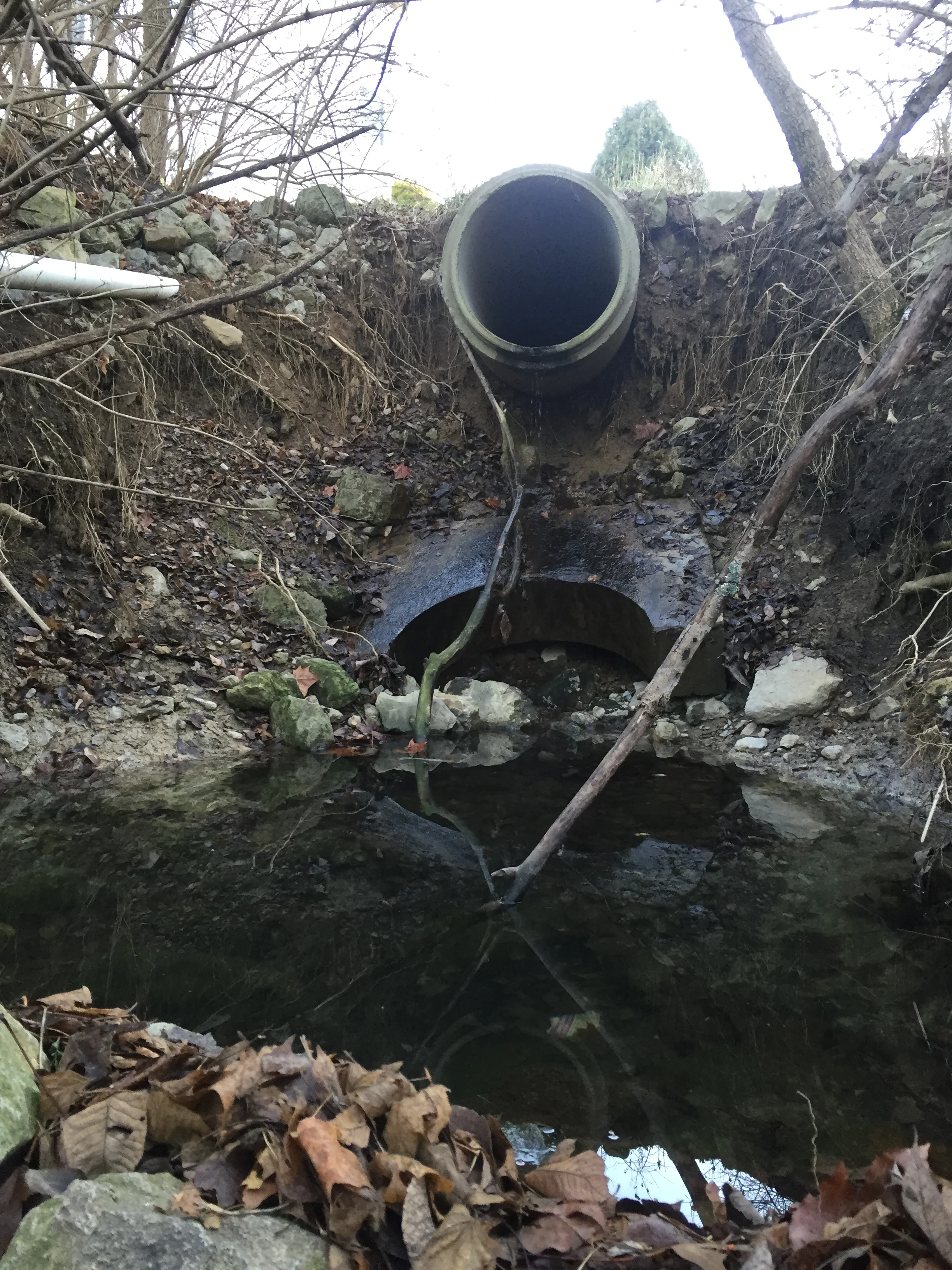 Projects — Sustainable Streams