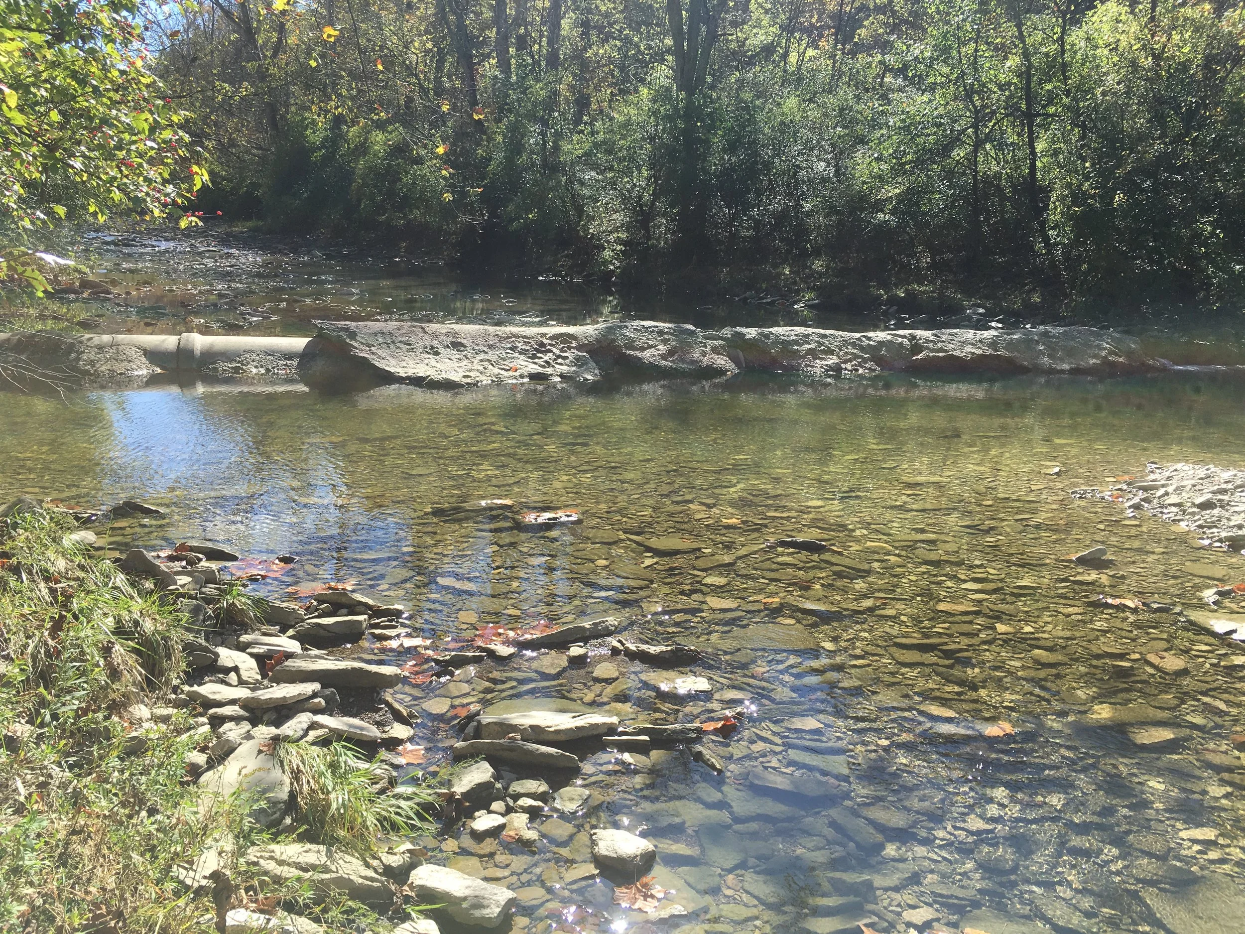 Projects — Sustainable Streams