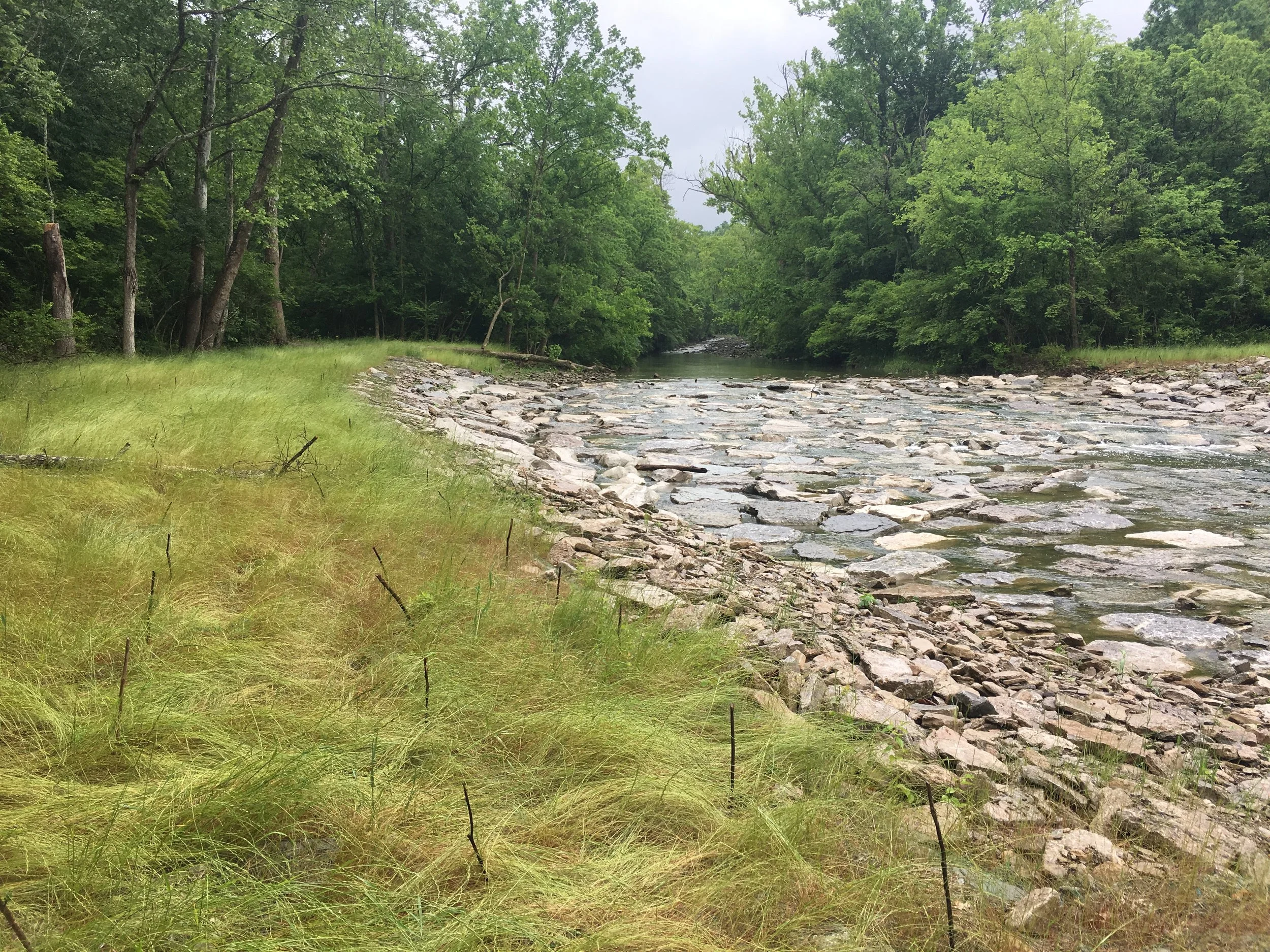 Projects — Sustainable Streams