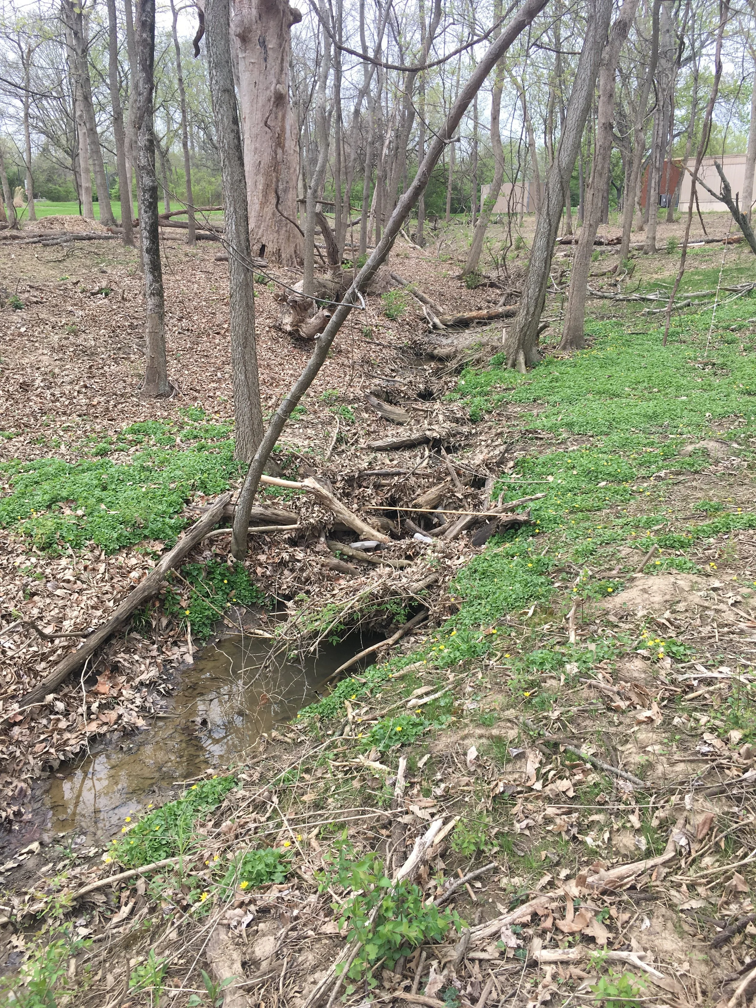 Projects — Sustainable Streams