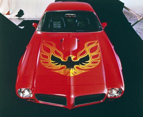 What?! A Large Bird Decal On The 1969 Firebird 400…Deck Lid ...