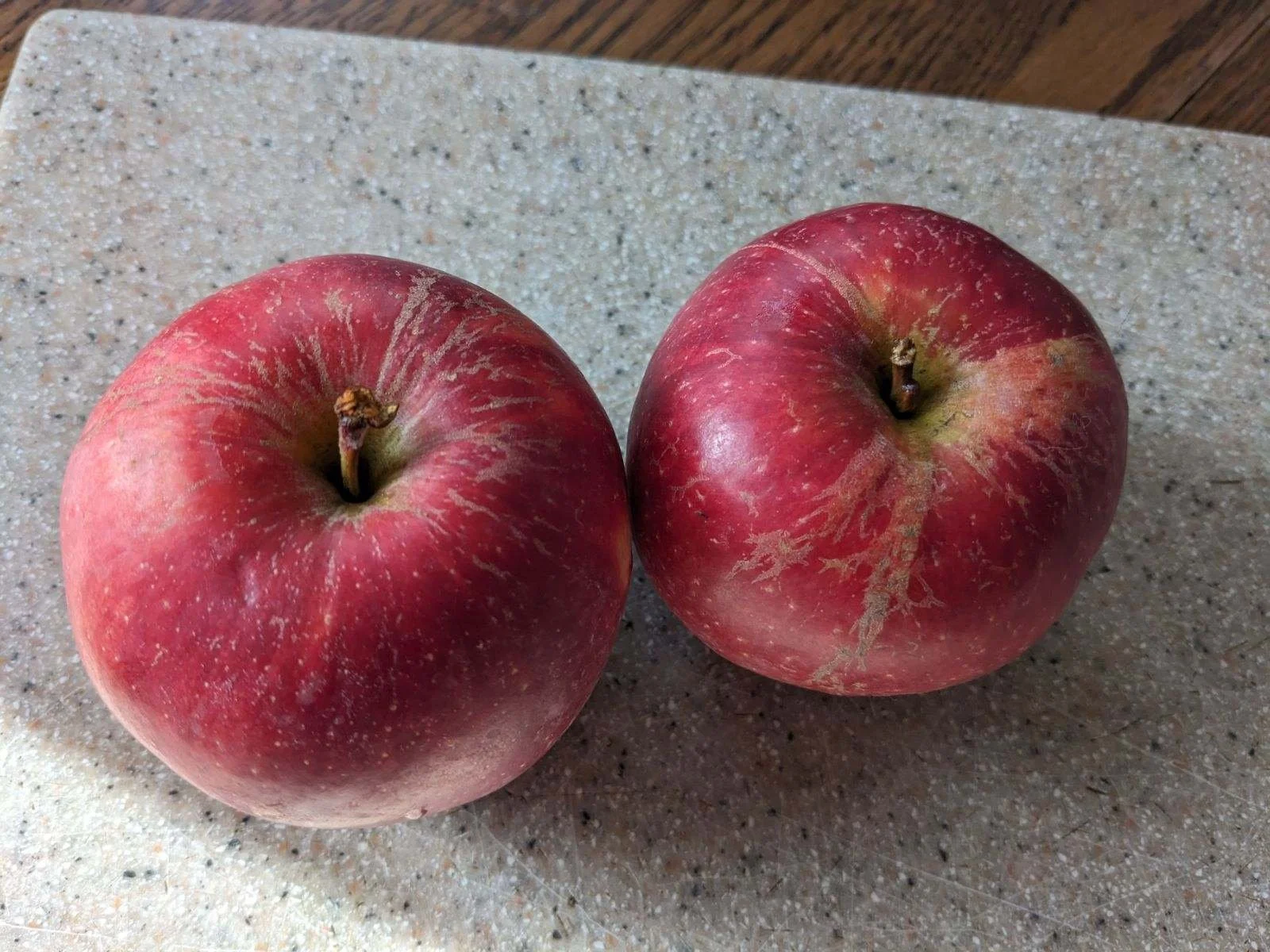 Haralson Apple — Montana Fruit Tree Company