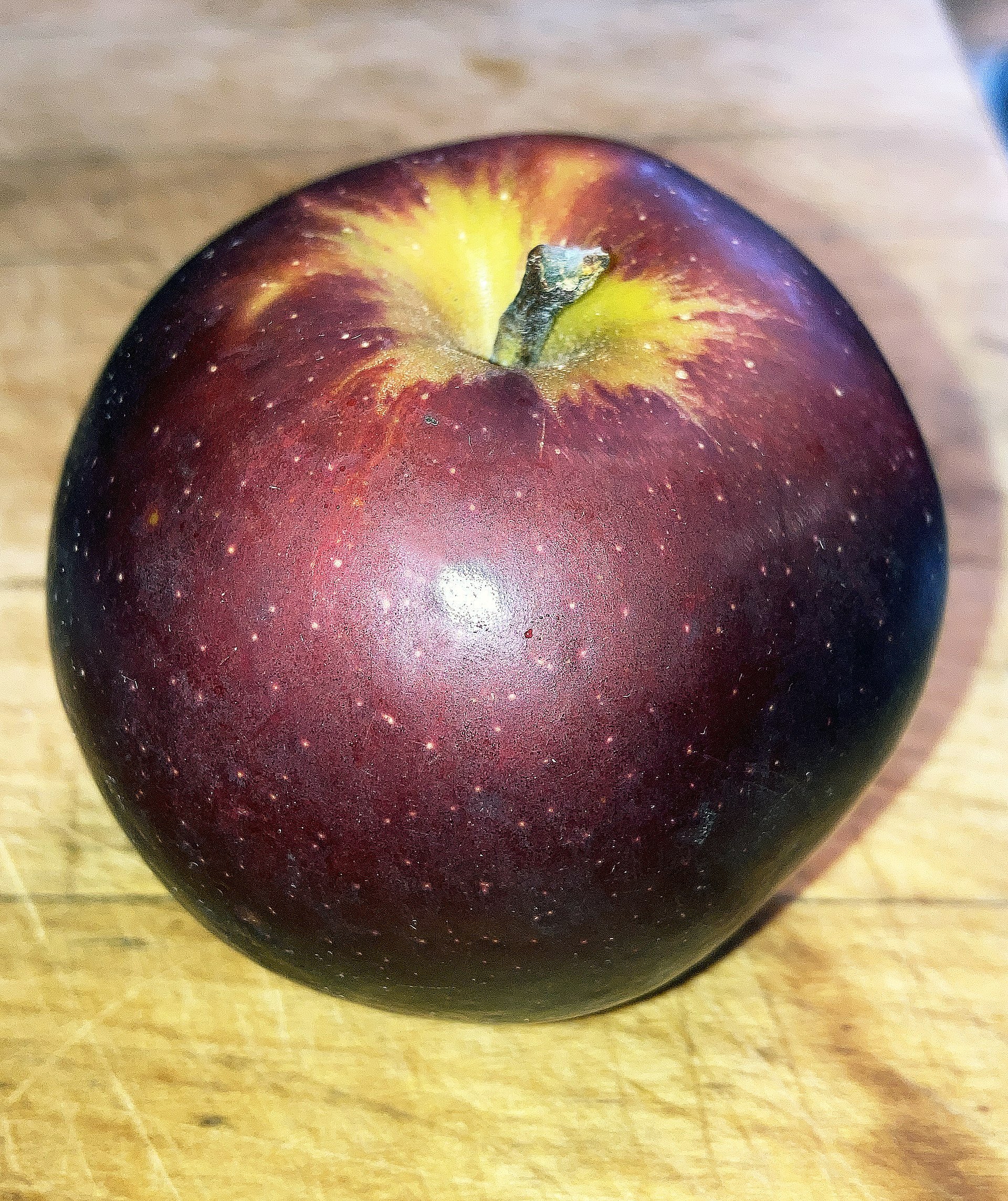 Arkansas Black Apple — Montana Fruit Tree Company