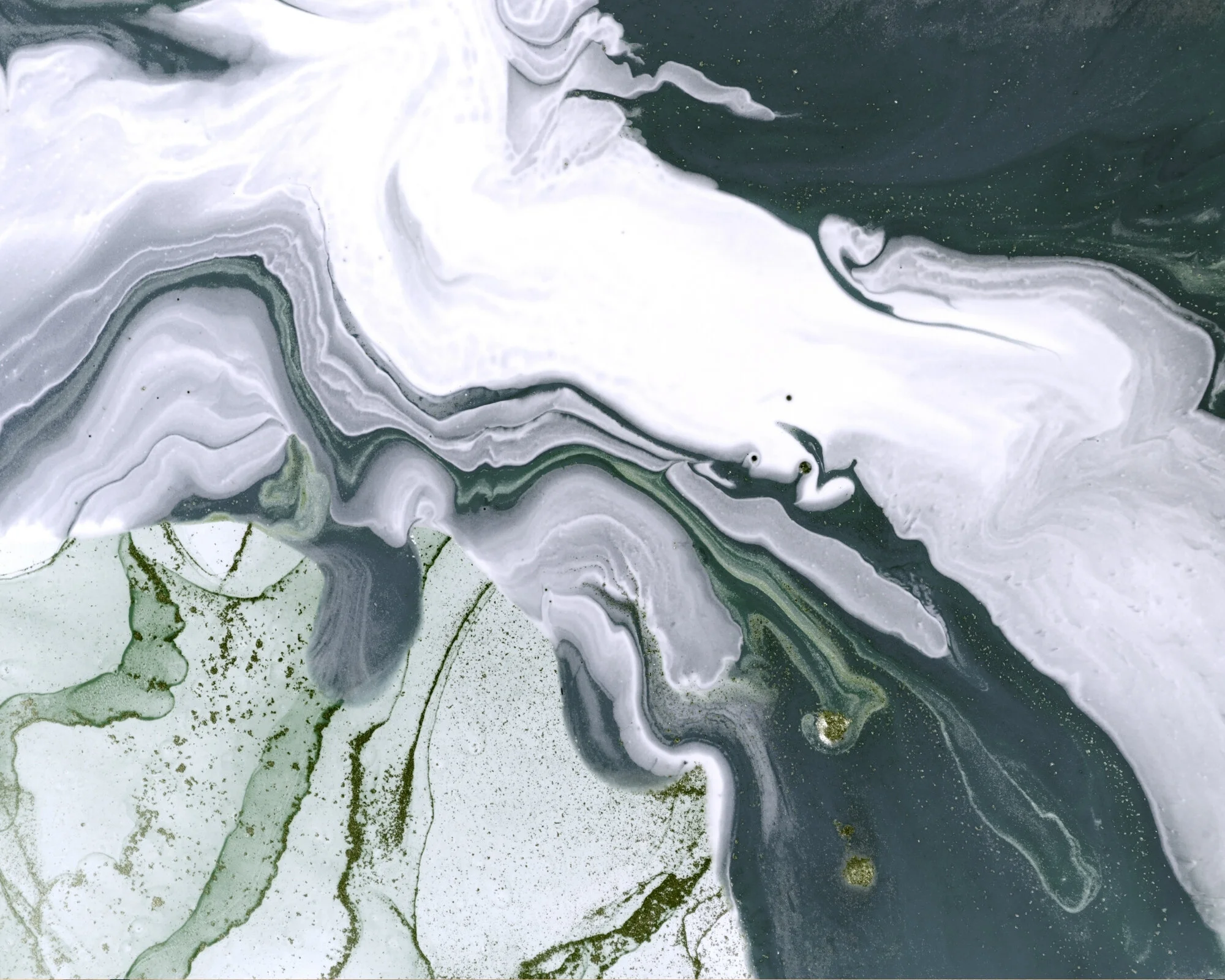 My Home is Full: A Story of Trauma and Resolution Over Two Decades ...