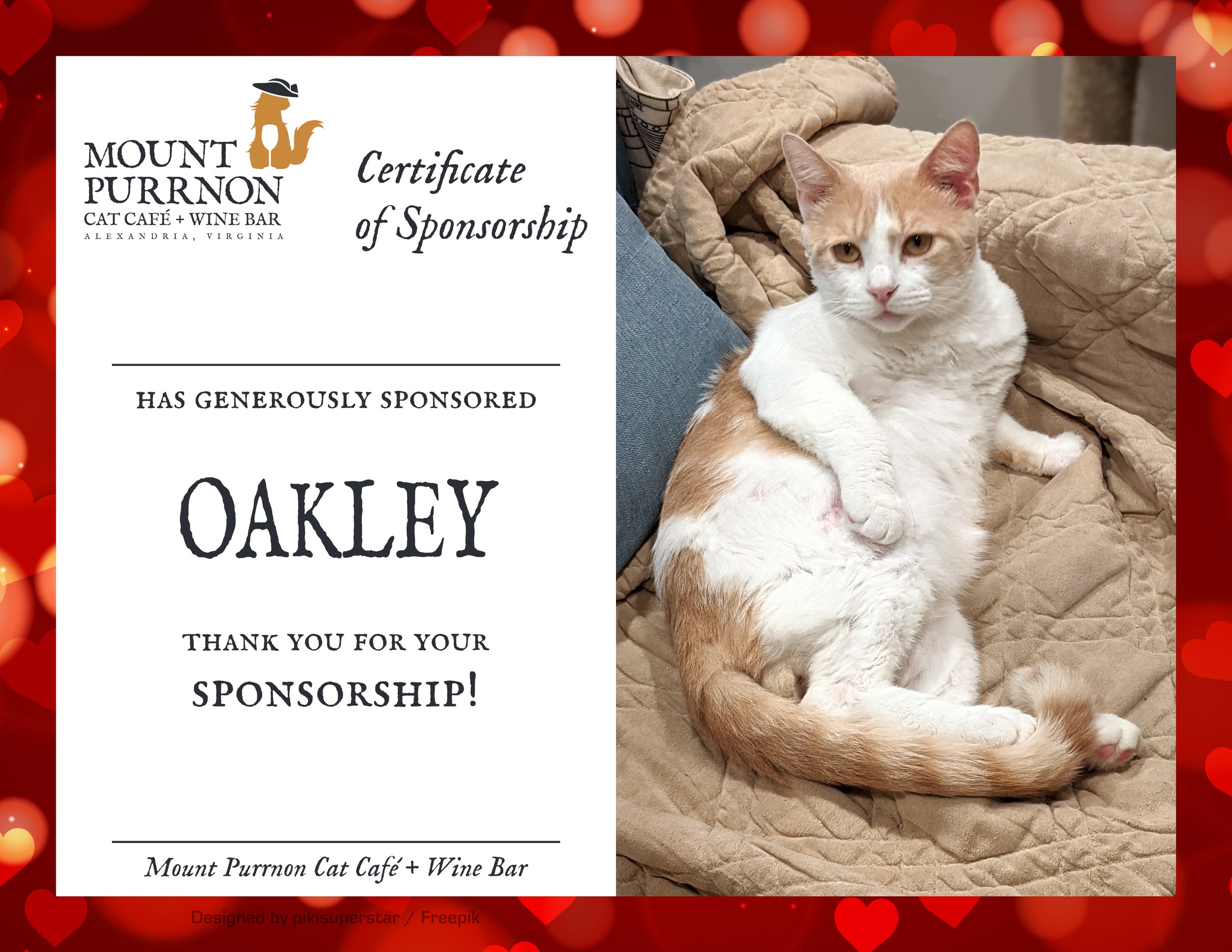 Shop — Mount Purrnon Cat Café and Wine Bar