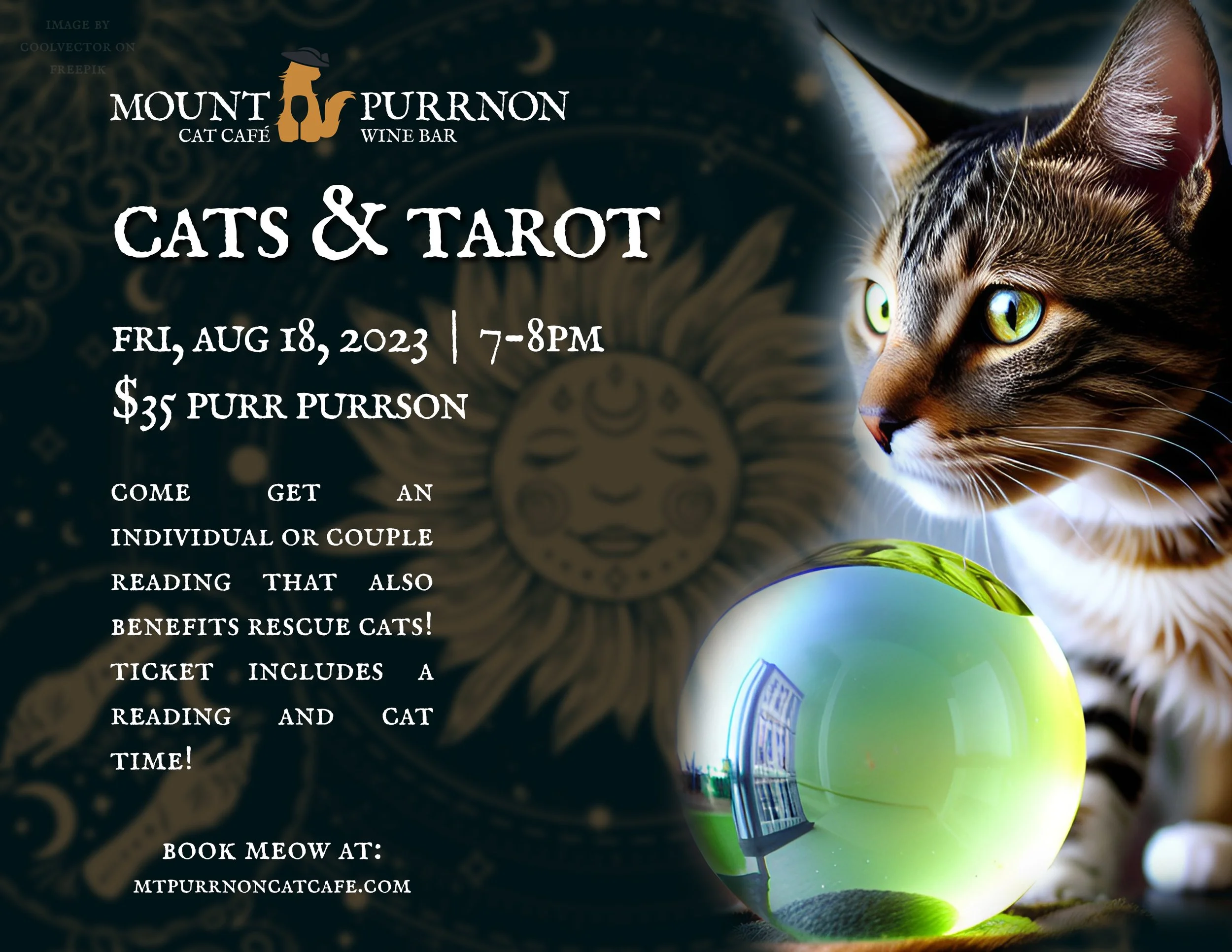 Events — Mount Purrnon Cat Café and Wine Bar