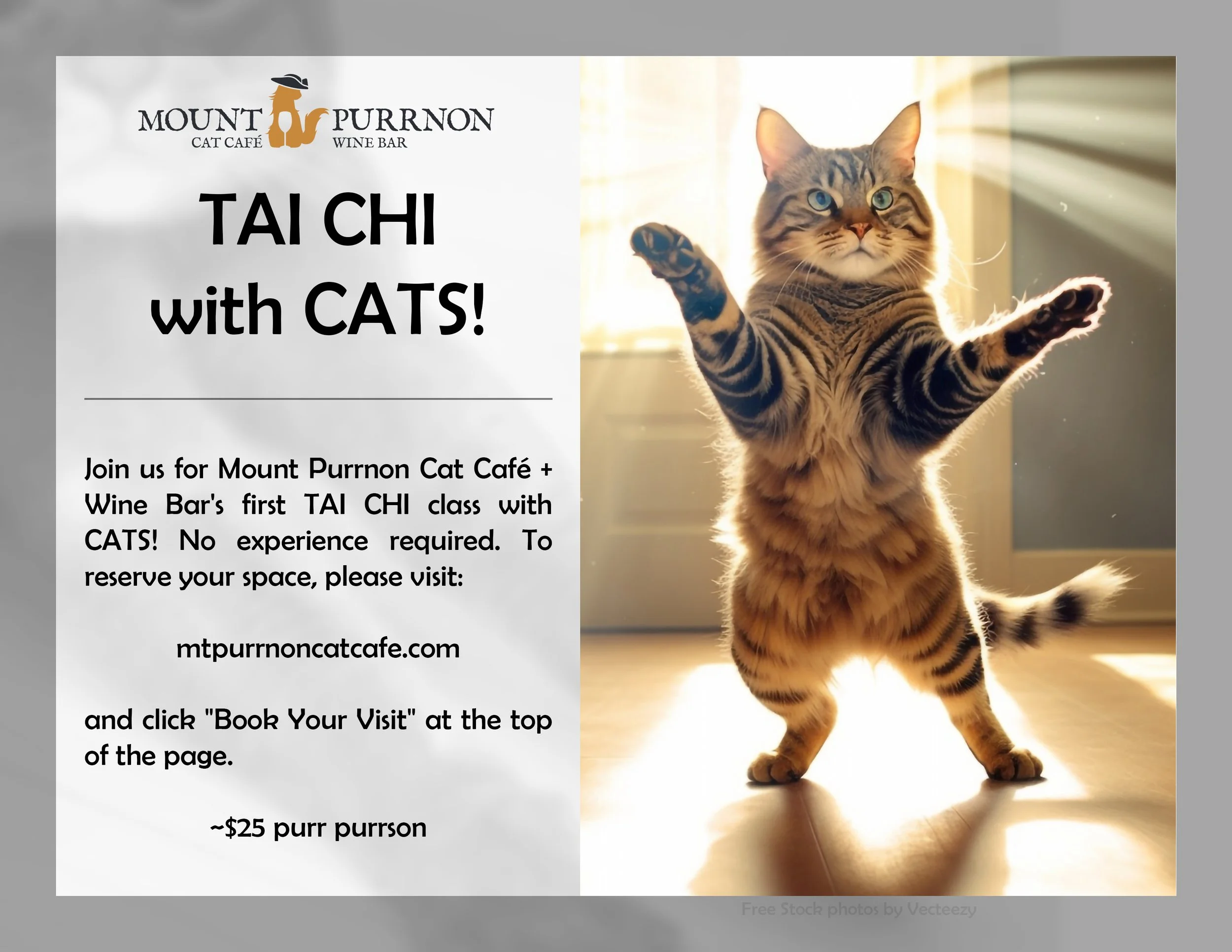 Events — Mount Purrnon Cat Café and Wine Bar