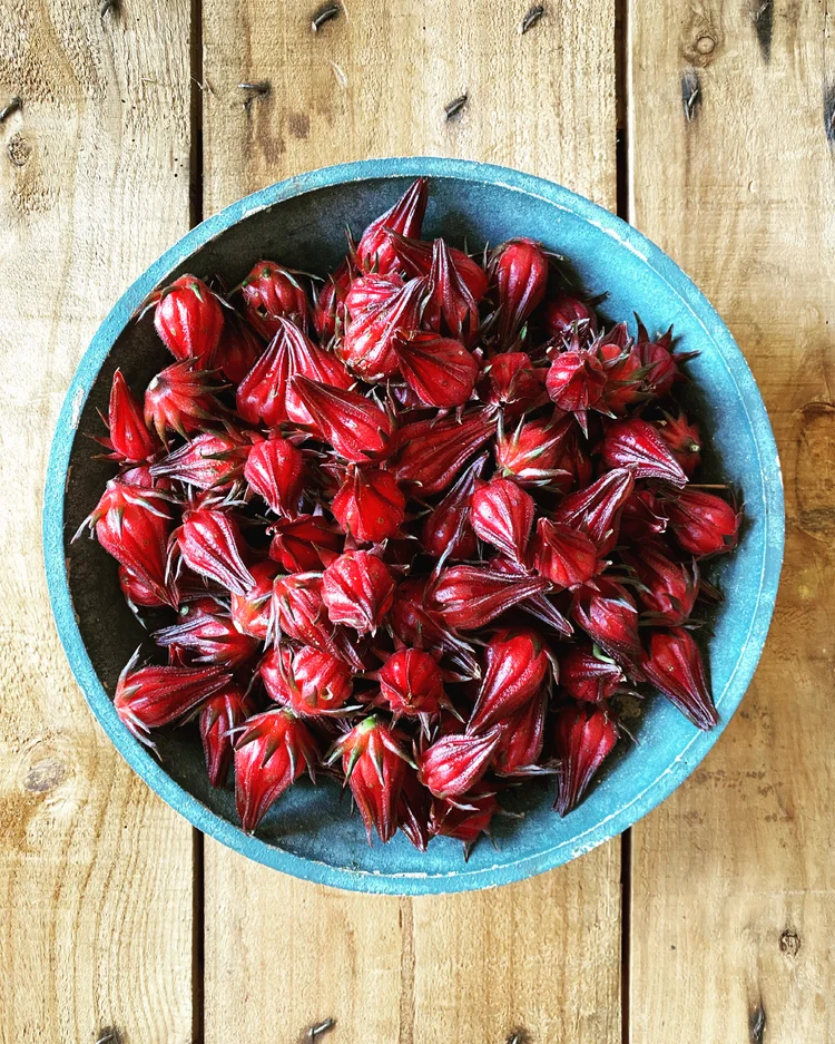 Rosella Fruit