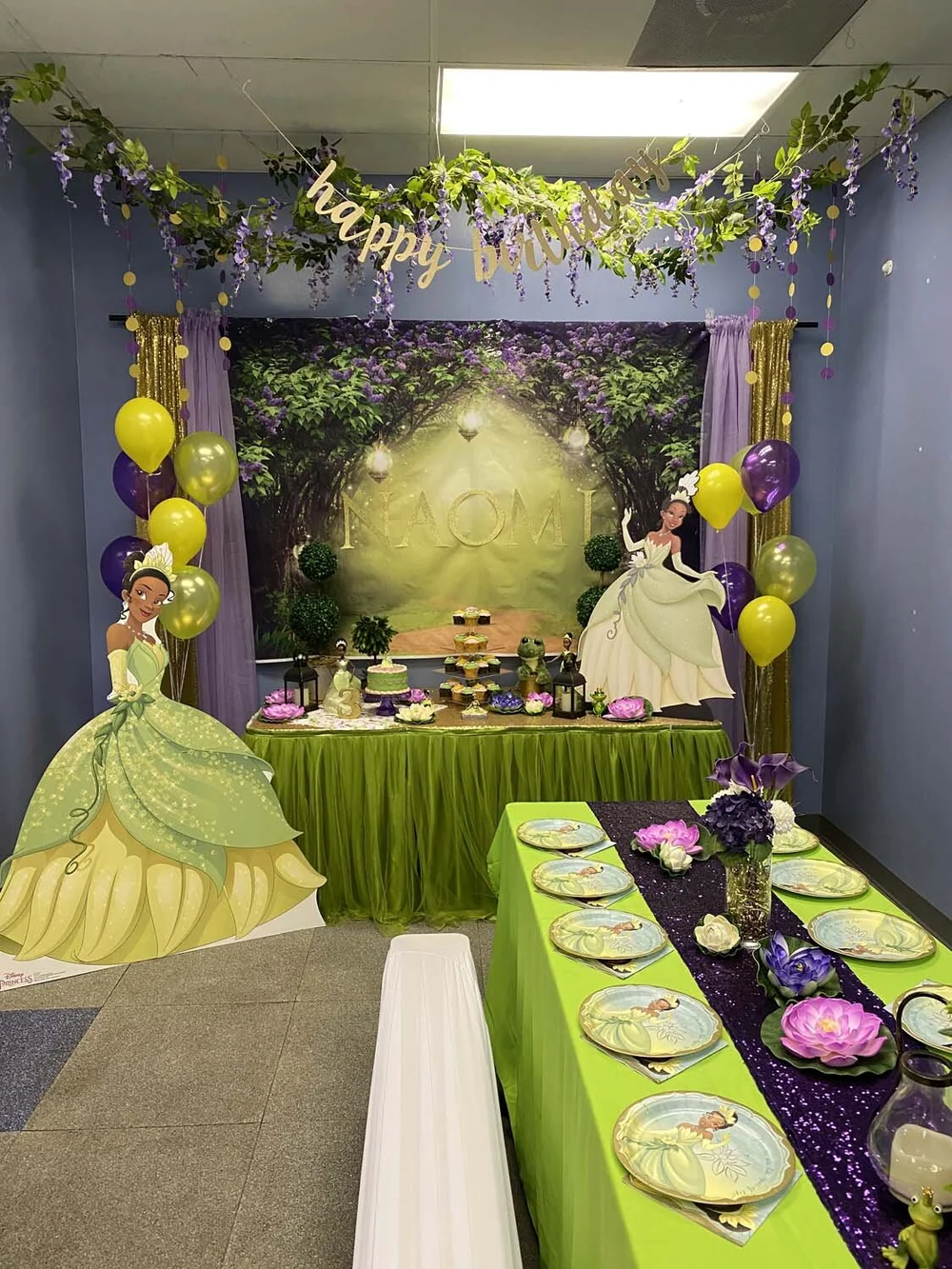 Princess And The Frog Birthday Decoration Ideas | Shelly Lighting