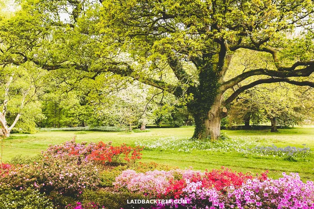 How to Visit Blarney Castle — LAIDBACK TRIP