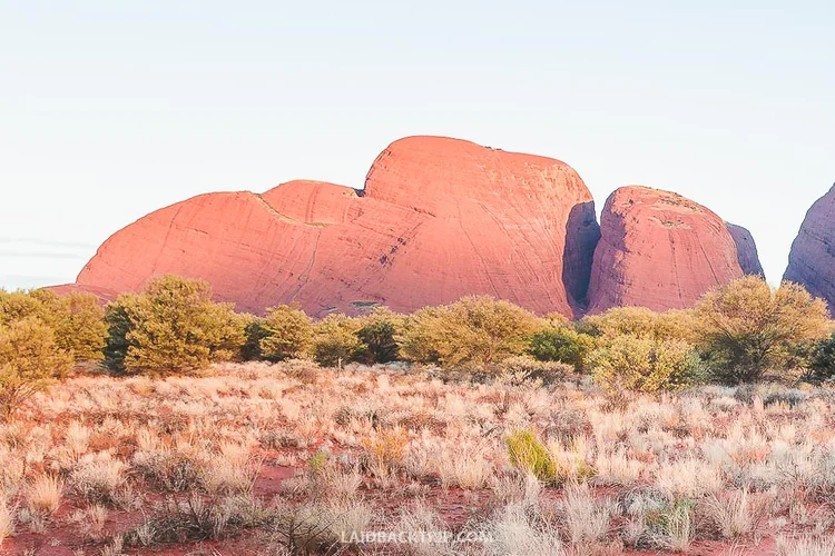 Packing List for Australian Outback Adventure — LAIDBACK TRIP