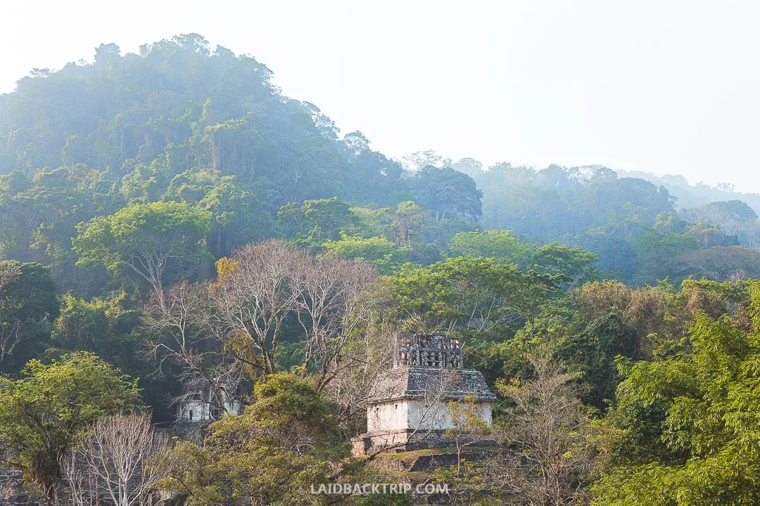 A Complete Guide to Palenque, Mexico — LAIDBACK TRIP