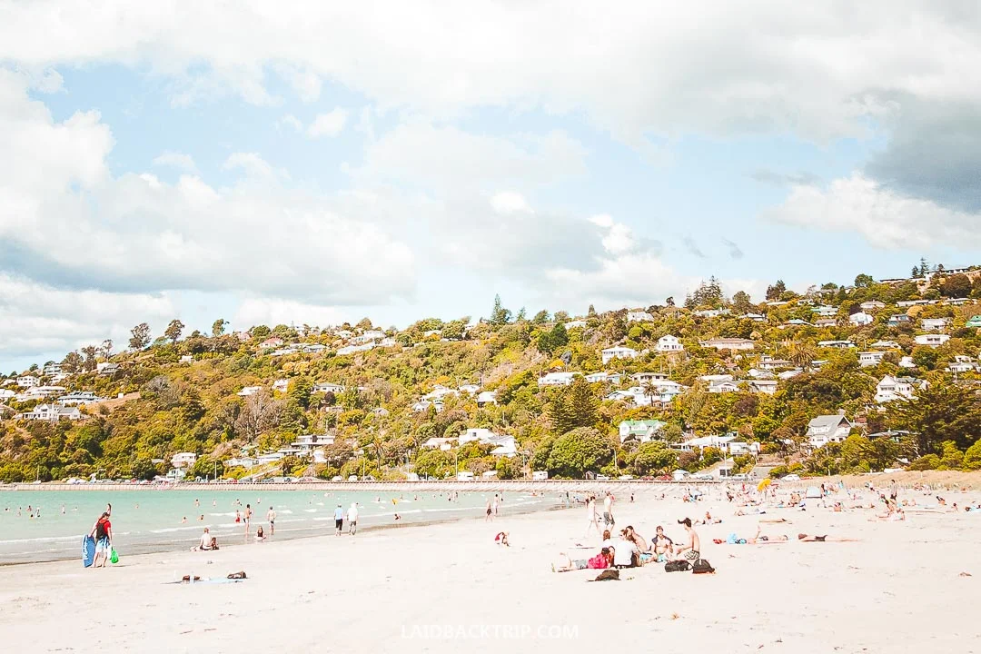 Nelson, New Zealand: Best Things to Do — LAIDBACK TRIP
