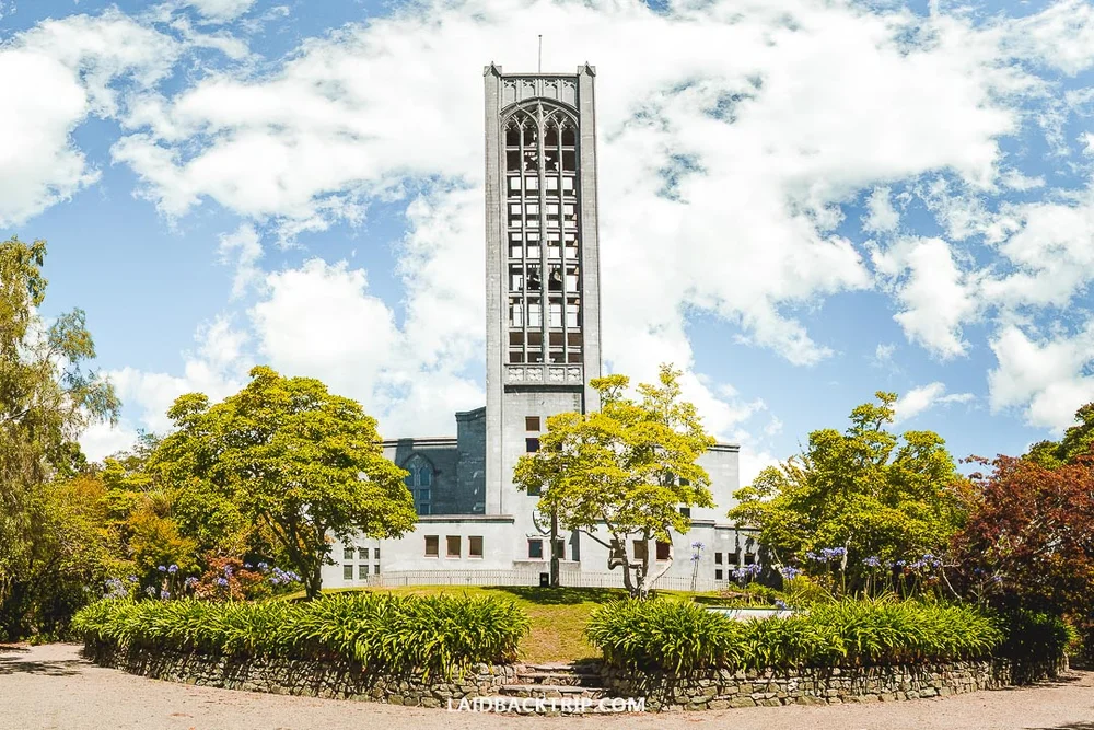 Nelson, New Zealand: Best Things to Do — LAIDBACK TRIP