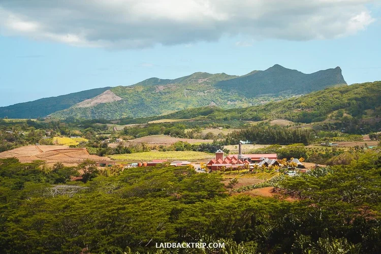 Chamarel: Travel Guide & Things to Do — LAIDBACK TRIP