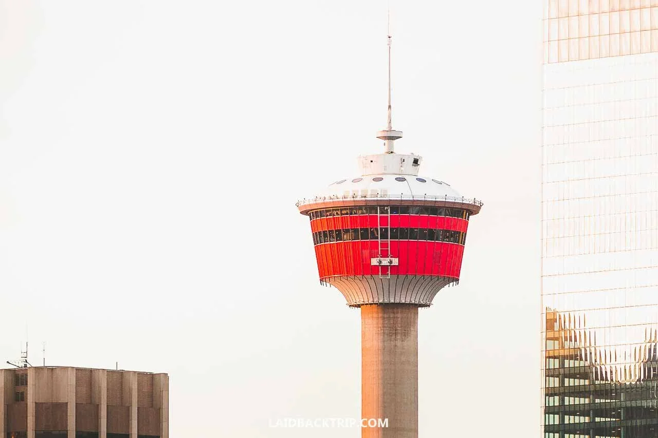 A Guide to Visiting Calgary Tower — LAIDBACK TRIP