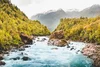 A Travel Guide to Puyuhuapi, Chile — LAIDBACK TRIP