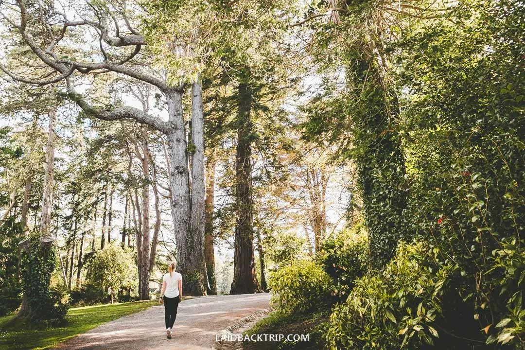 How to Visit Powerscourt House and Gardens — LAIDBACK TRIP