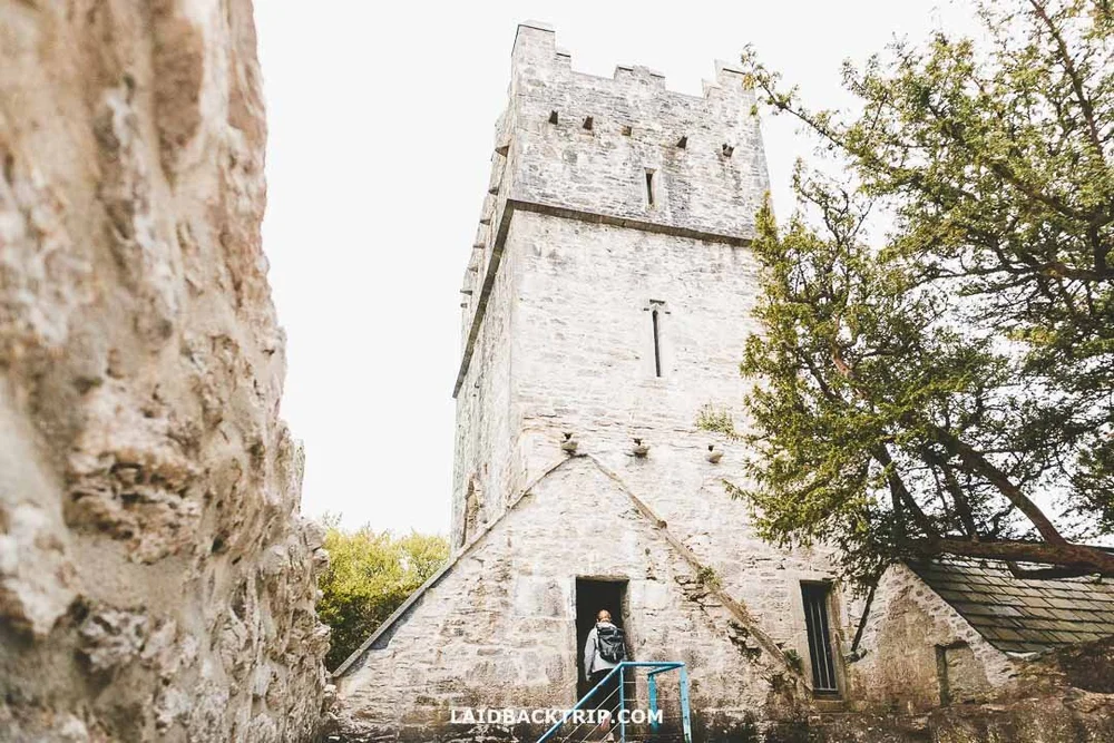 How to Visit Muckross Abbey — LAIDBACK TRIP