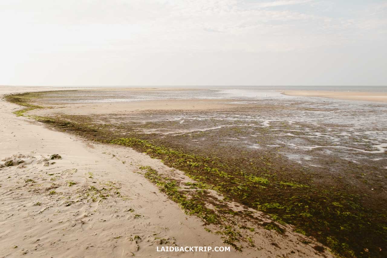 Visiting the Wadden Sea National Park in Denmark — LAIDBACK TRIP