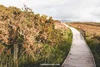 A Guide to Wild Nephin National Park — LAIDBACK TRIP