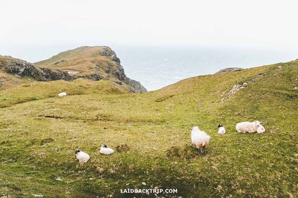 How to Visit Slieve League — LAIDBACK TRIP