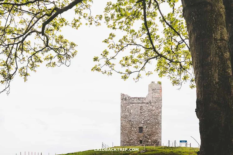 How to Visit Castle Ward — LAIDBACK TRIP