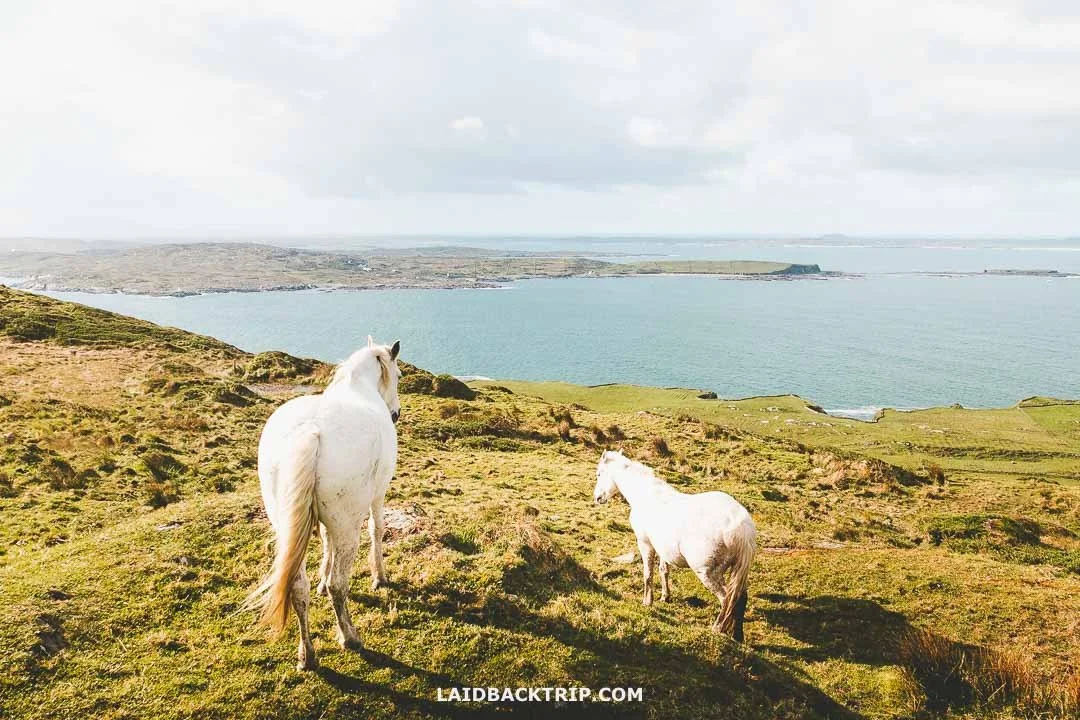 Best Things to Do in Clifden — LAIDBACK TRIP