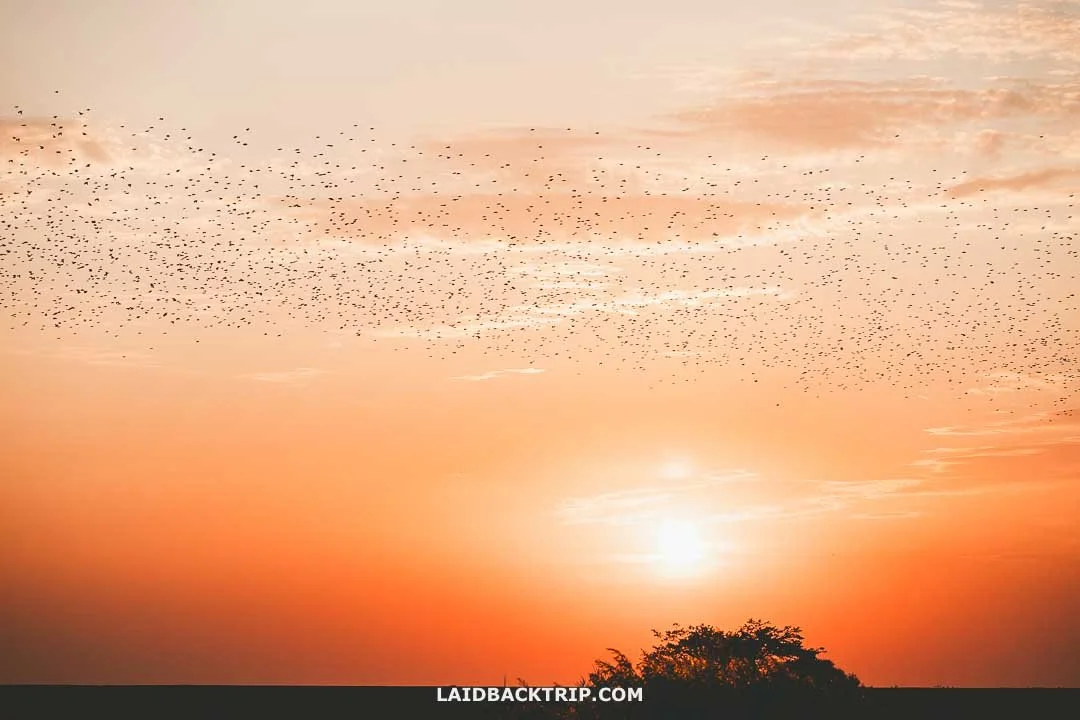 How to See the Black Sun (Sort Sol) in Denmark + Tips — LAIDBACK TRIP
