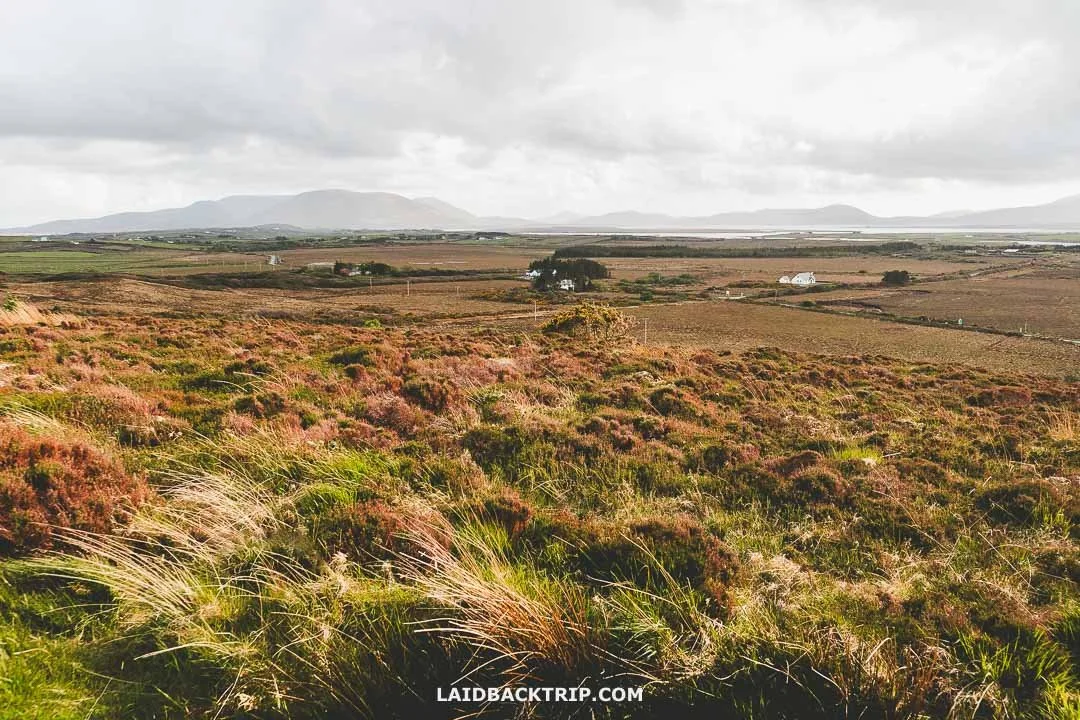 A Guide to Wild Nephin National Park — LAIDBACK TRIP