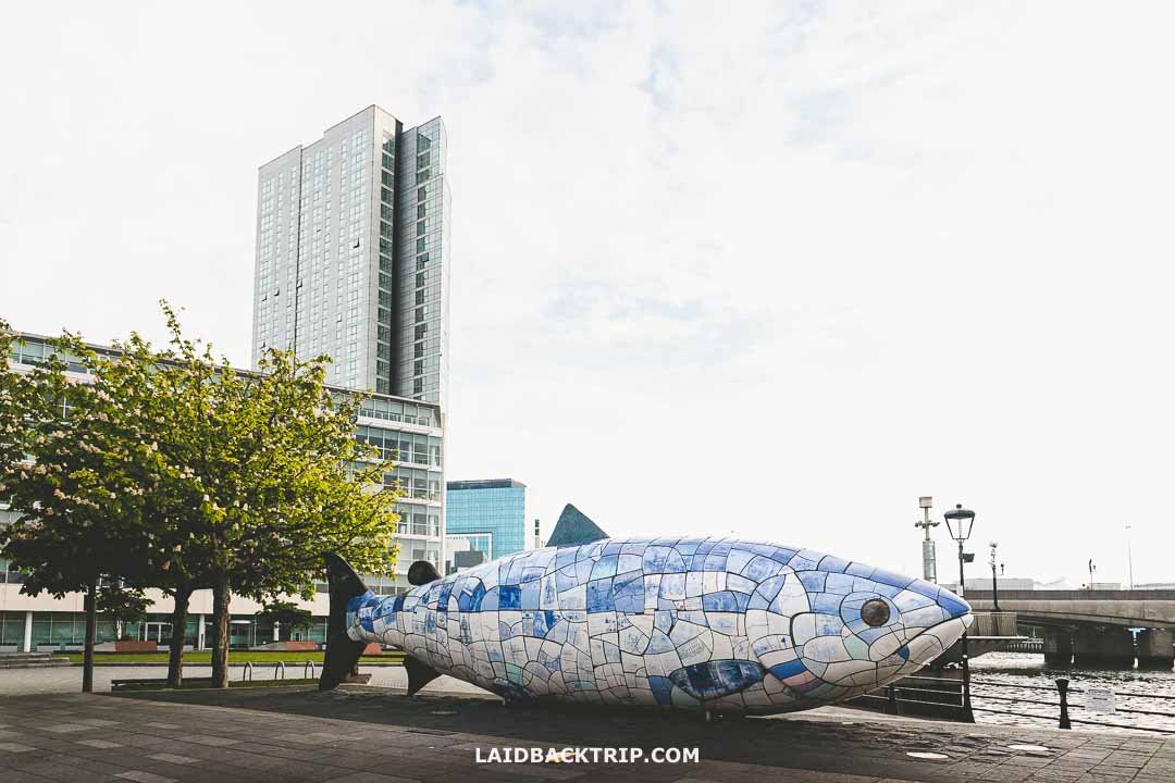 17 Free Things to Do in Belfast — LAIDBACK TRIP