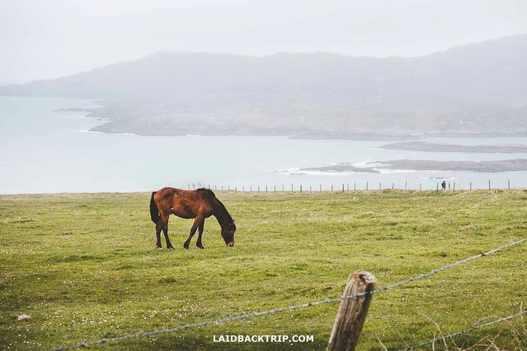 A Guide to Beara Peninsula — LAIDBACK TRIP