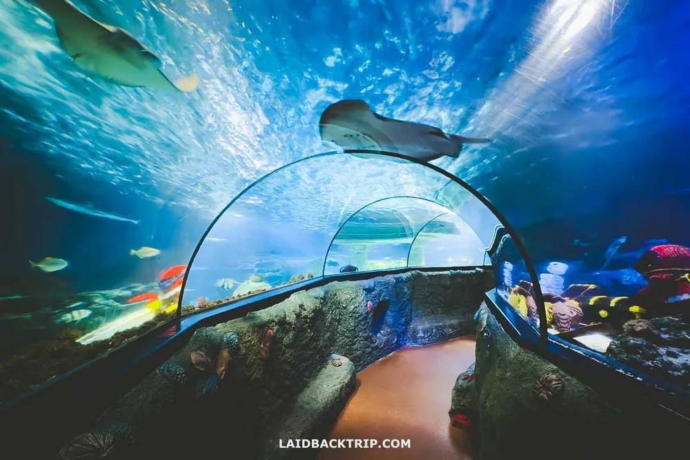 Legoland Germany: The Complete Guide — LAIDBACK TRIP