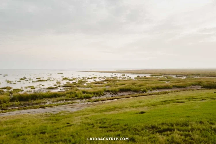 Visiting the Wadden Sea National Park in Denmark — LAIDBACK TRIP