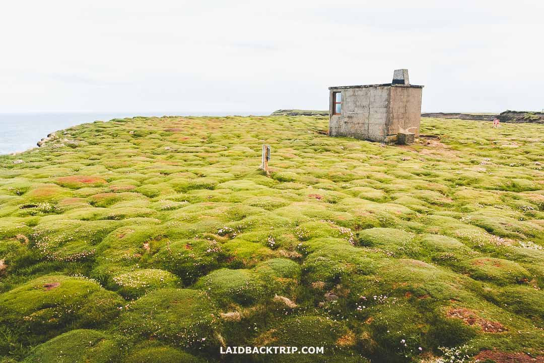 How to Visit Downpatrick Head — LAIDBACK TRIP