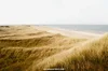 Our Jutland Guide: 5-Day Itinerary + Top Sights — LAIDBACK TRIP