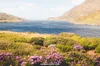 How to Visit Killary Harbour — LAIDBACK TRIP