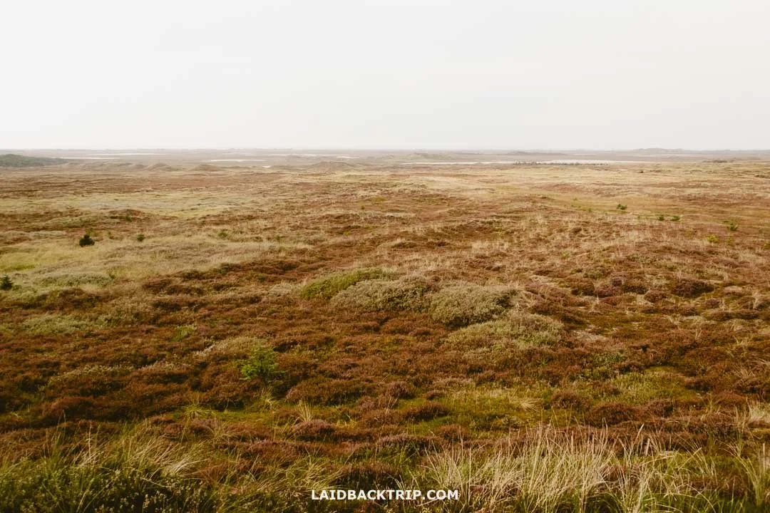 Hiking the Isbjerg Trail, Denmark — LAIDBACK TRIP